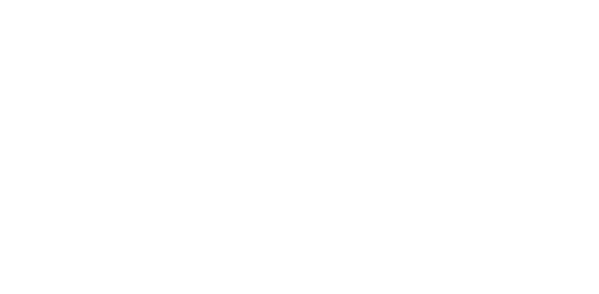 Bucephalus – The silent ambassador of your brand